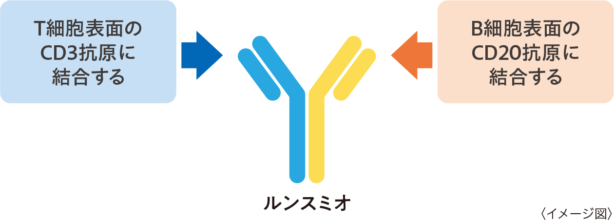 ルンスミオってどんな薬？｜ルンスミオ®｜患者さん向け医薬品・医療機器情報｜患者さん・⼀般の皆さま｜中外製薬株式会社