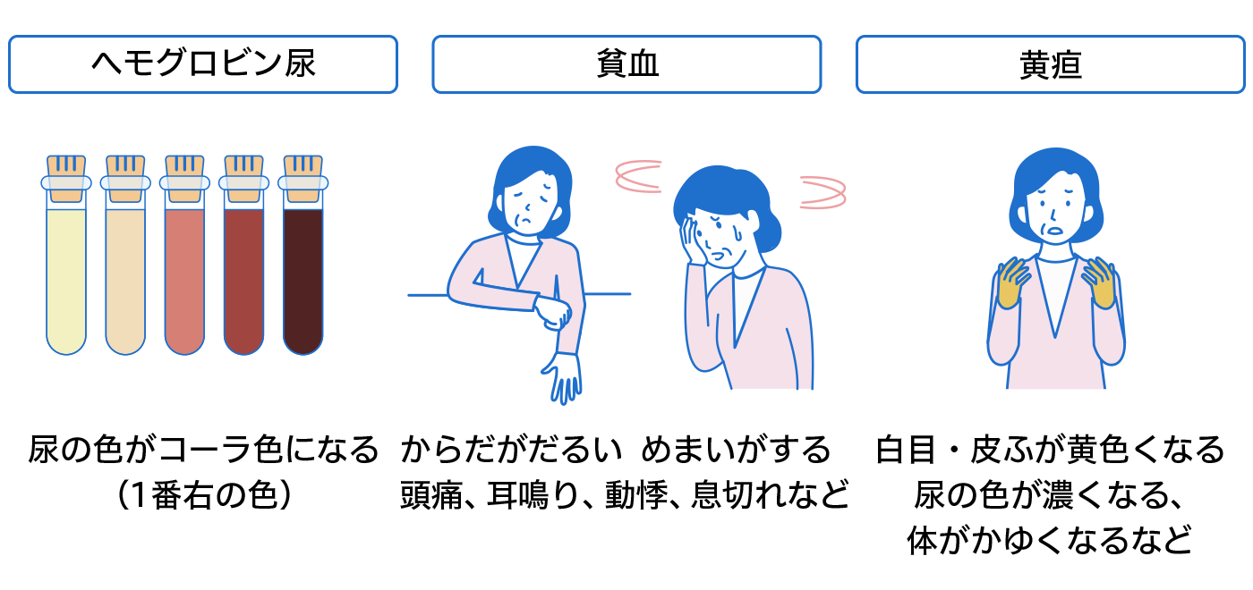 ピアスカイの治療をお休みしてもいいですか？ | ピアスカイ Q&A一覧 | ピアスカイ 発作性夜間ヘモグロビン尿症（PNH）TOP | 患者 ...