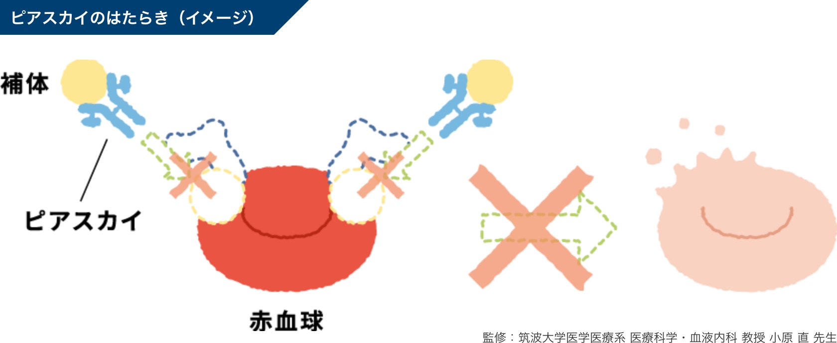 ピアスカイってどんな薬？ | ピアスカイ 発作性夜間ヘモグロビン尿症（PNH）TOP | 患者さん向け医薬品・医療機器情報 | 患者さん・一般 ...