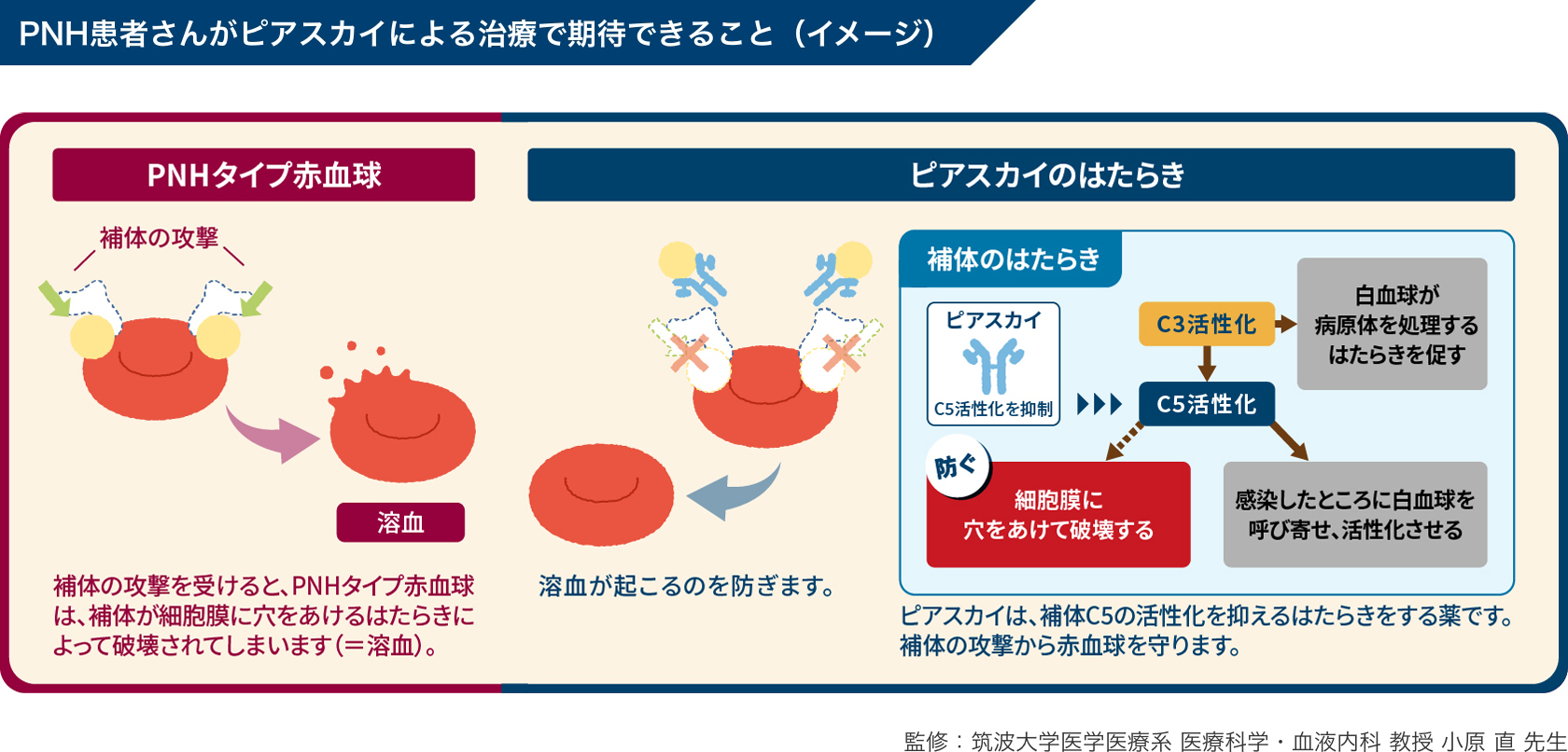 ピアスカイってどんな薬？ | ピアスカイ 発作性夜間ヘモグロビン尿症（PNH）TOP | 患者さん向け医薬品・医療機器情報 | 患者さん・一般 ...